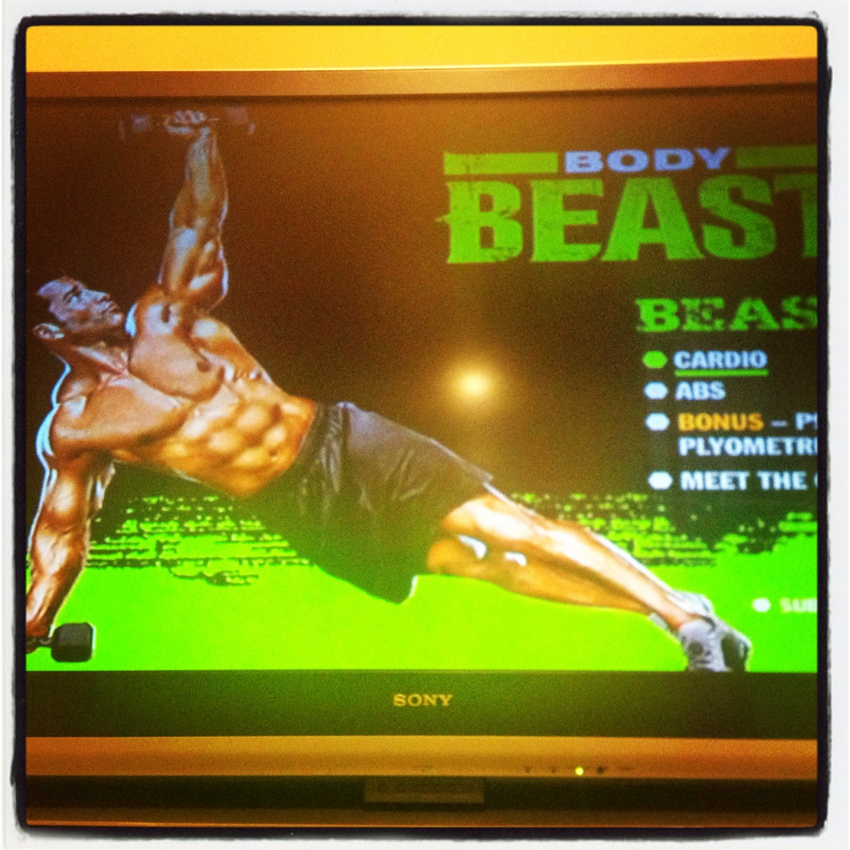 Week 3 Body Beast Progress Report | Melanie Mitro